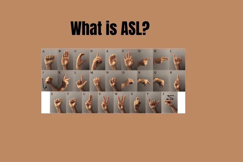 Education in ASL- Learn American Sign Language For Inclusivity And ...